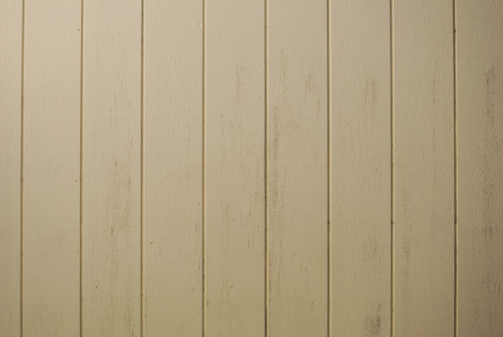 T1-11 Siding Painting | Protect & Enhance Your Property